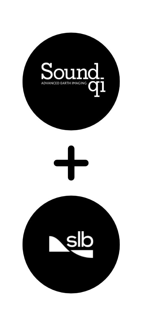 QI-Pro Petrel plugin now available on DELFI and the Ocean store